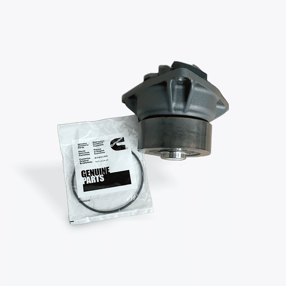 Mfr. Part Number: 4376359 by Cummins® Water Pump Kit