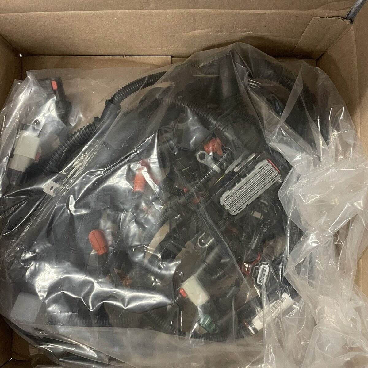 5484117 | Genuine Cummins® Control Module Wiring Harness